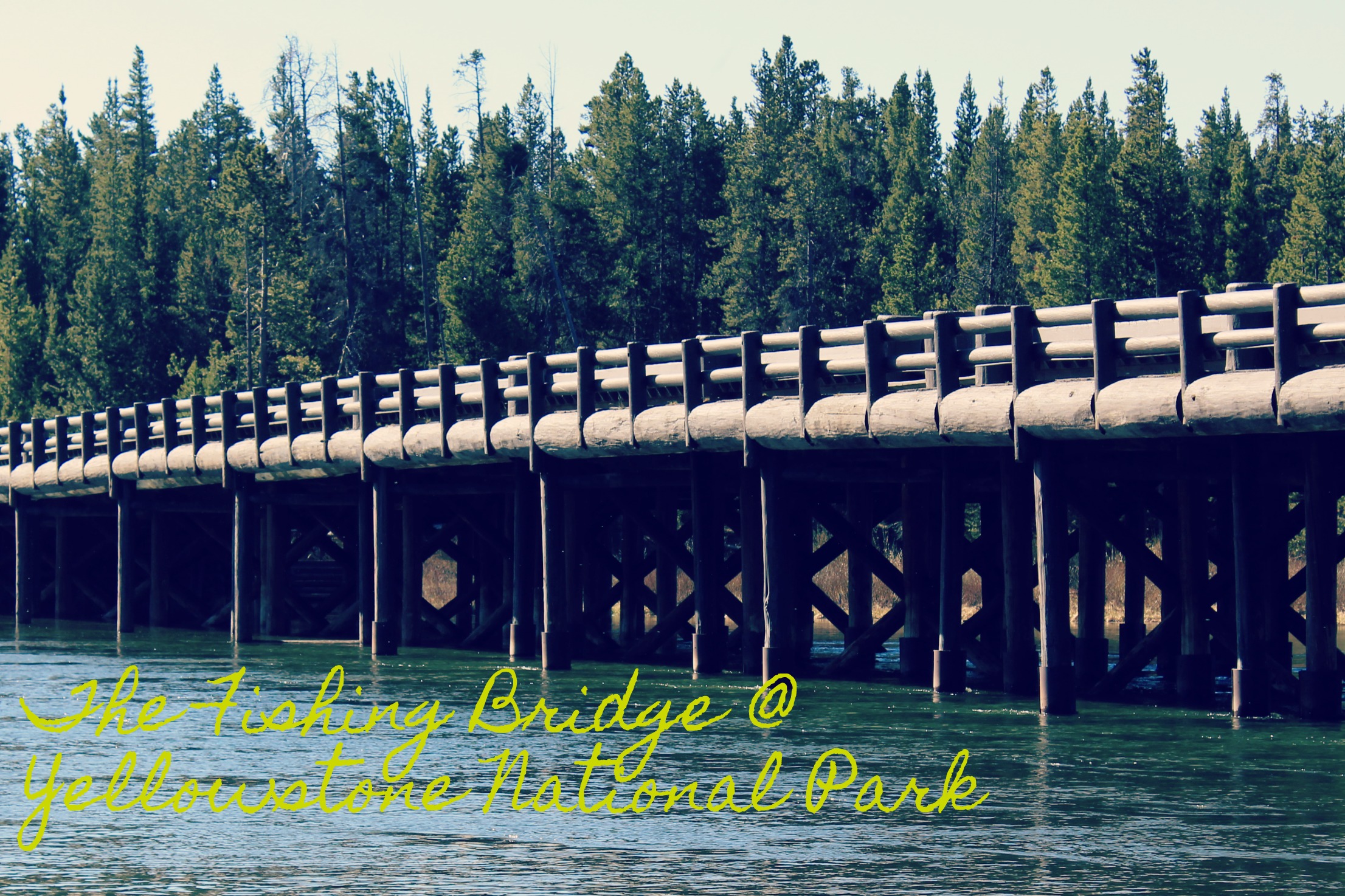 Yellowstone National Park’s Fishing Bridge Campground Review – Roam ...